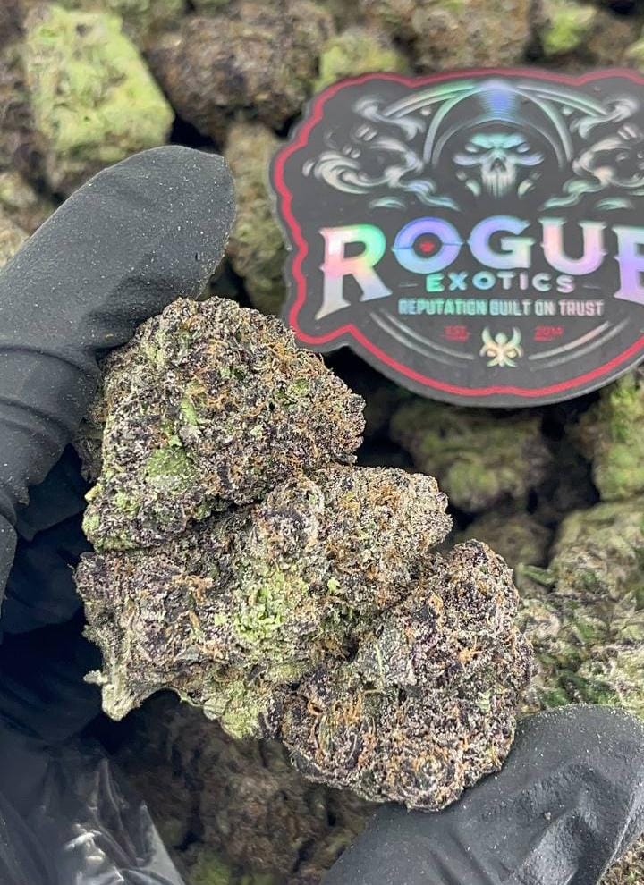 GASBERRY GUSHERZ – ROGUE EXOTICS