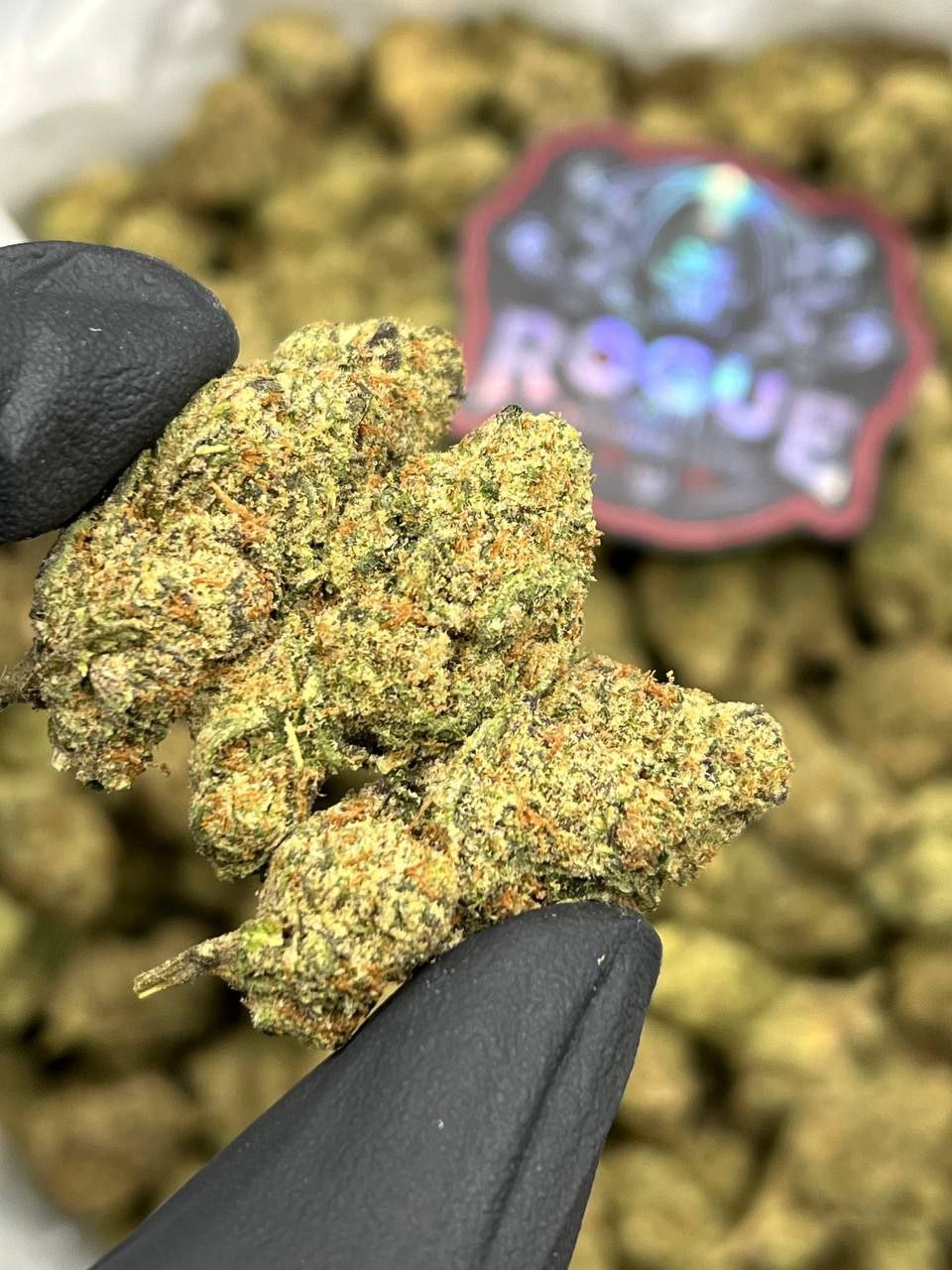 LEMON CHERRY POP – ROGUE EXOTICS